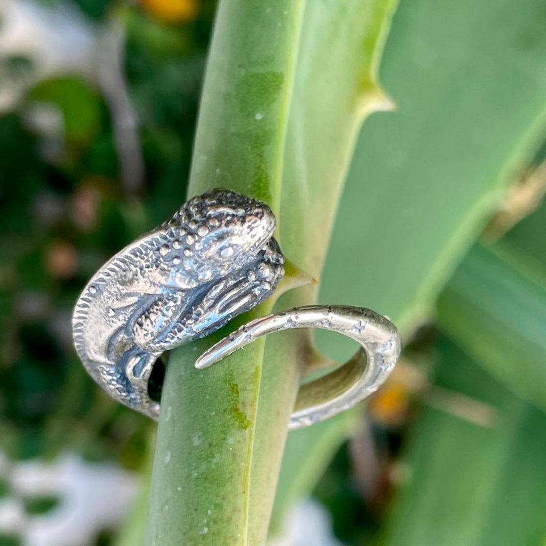 Lo más nuevo – Flora María