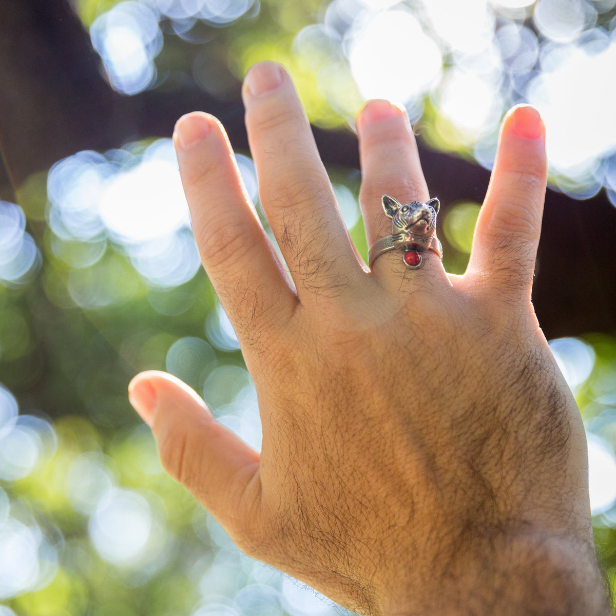 Anillo Cabeza de Xoloescuincle – Flora María